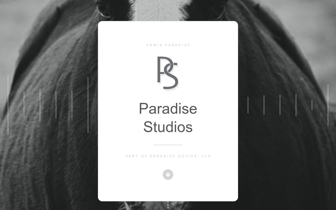 Paradise Studios